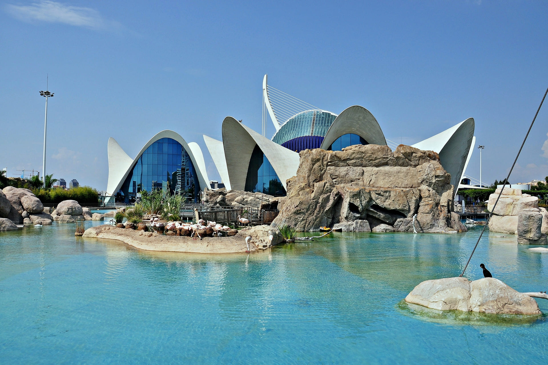 Oceanogràfic Valencia: Guía, horarios y tips